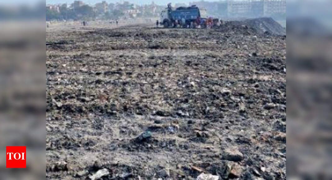 Delhi: How an eco park will rise from the ashes | Delhi News - Times of ...