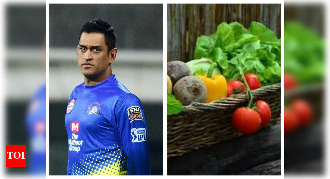 MS Dhoni News: MS Dhoni to export vegetables grown in his Ranchi ...