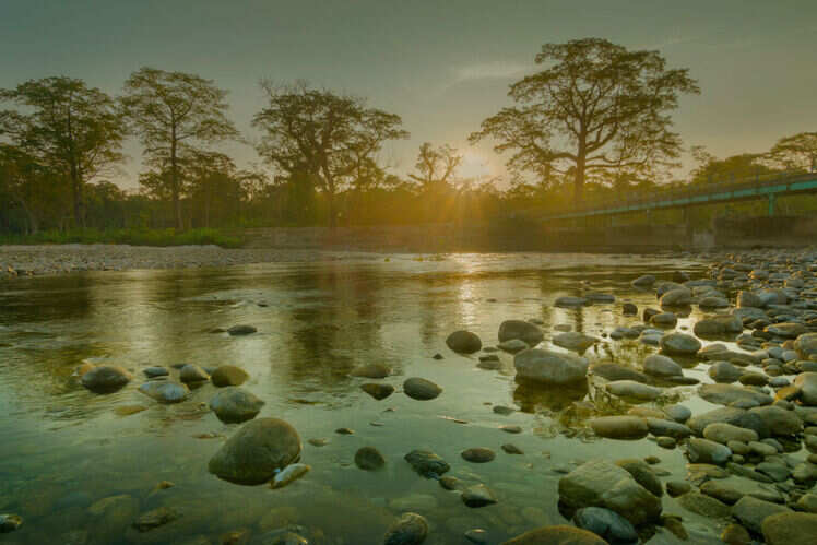 5 rural destinations of West Bengal | Times of India Travel