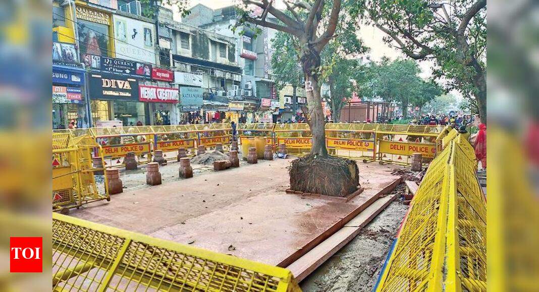 Standing tall: Peepal tree in right of way at Delhi's Chandni Chowk ...