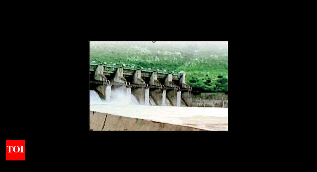 Expert panel to assess damage to Somasila project area on Sunday ...