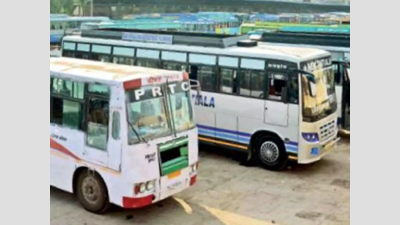 Punjab government to issue 5,000 mini bus permits by March end to end ...