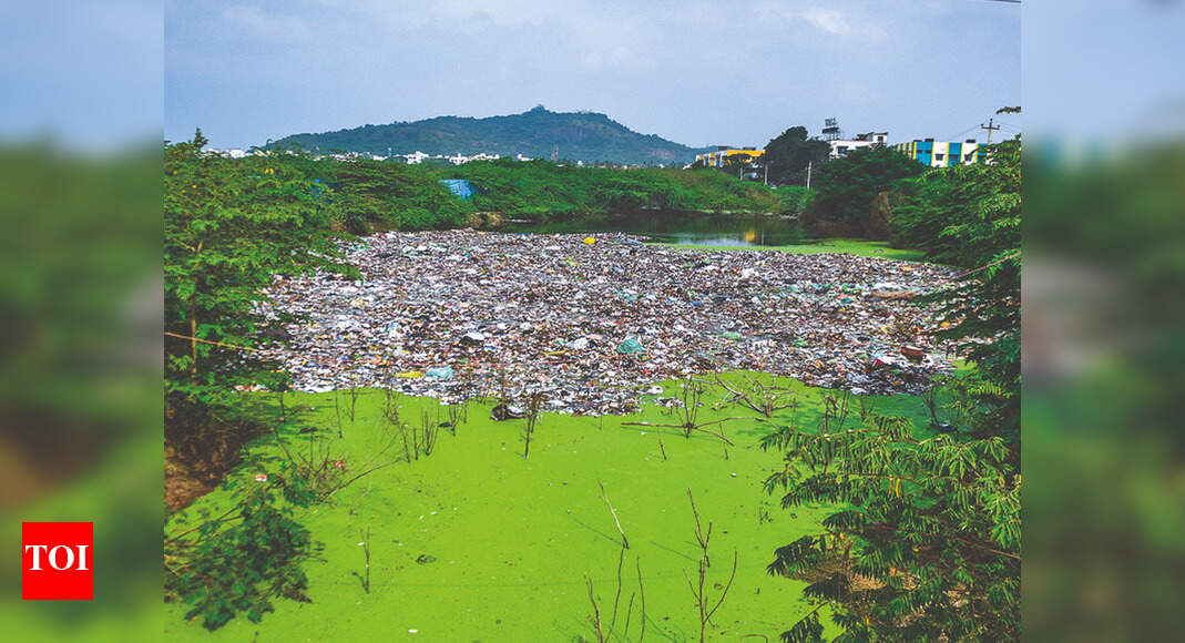 Tamil Nadu: Putheri lake to come under CCTV camera surveillance ...