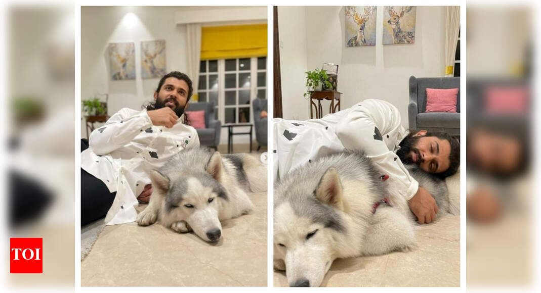 Vijay Deverakonda’s power nap with pet Storm goes viral | Tamil Movie ...