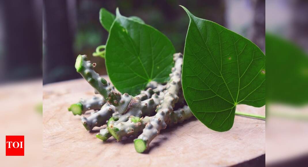 10 incredible benefits of Giloy - Times of India
