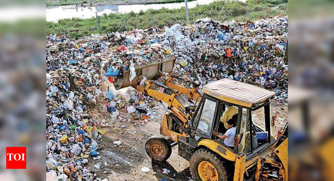 Garbage stench, carcass burning make life hell for residents near ...