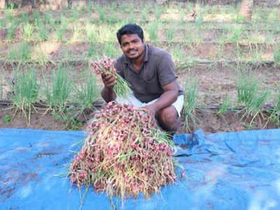 Kerala's young farmer gets success in small onion cultivation ...
