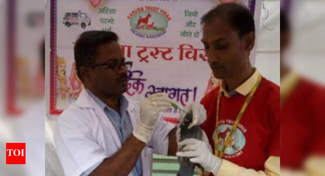 Several bird rescue camps to be set up in Mumbai during Makar Sankranti ...