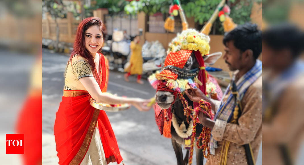 Doing pooja for cows during the festival is a tradition for me: Sherin ...