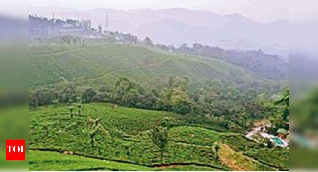 Munnar tourism to get a tech boost with QR code | Kochi News - Times of ...