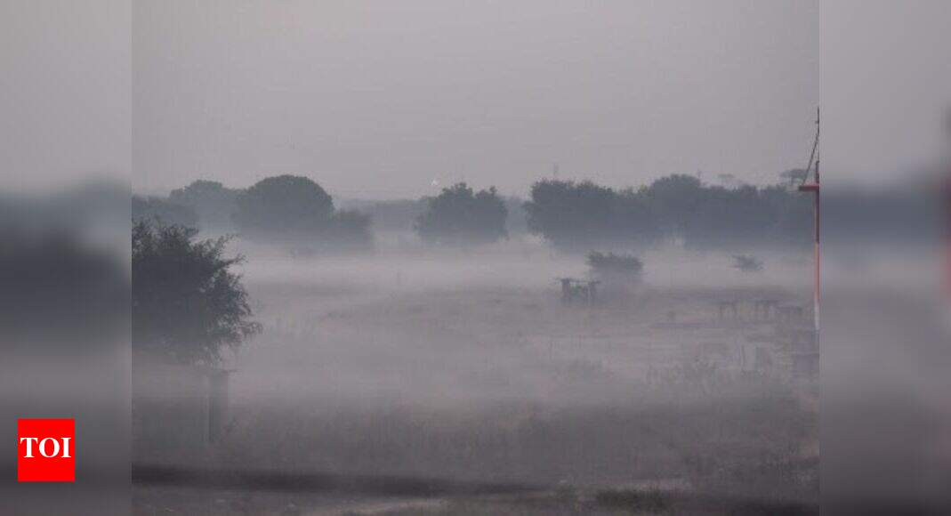 Thick fog blankets parts of Rajasthan | Jaipur News - Times of India