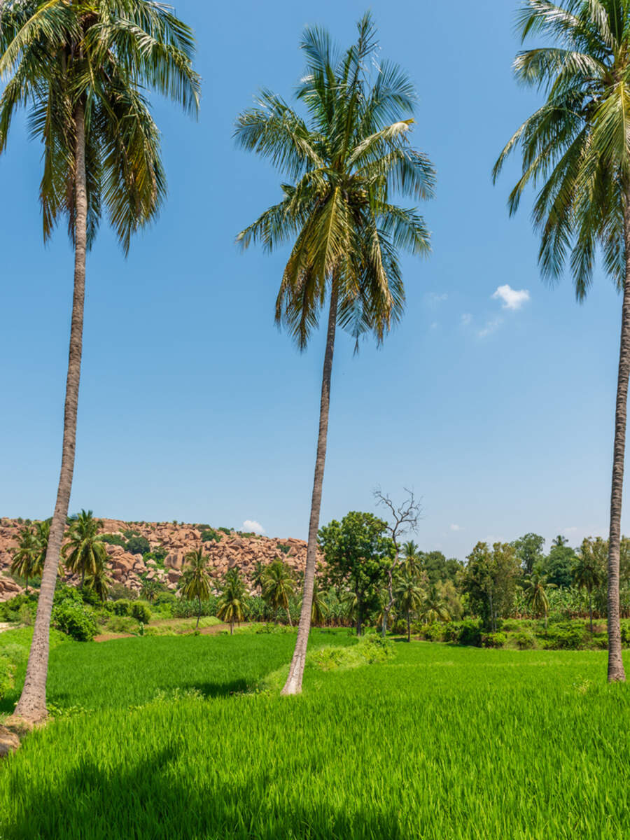 Perfect escapes from harsh Indian winters | Times of India