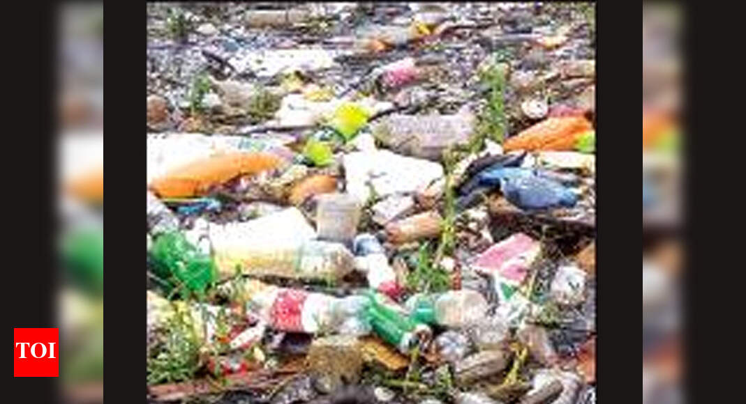 Goa cabinet approves 2% cess on non-biodegradable packing of goods ...