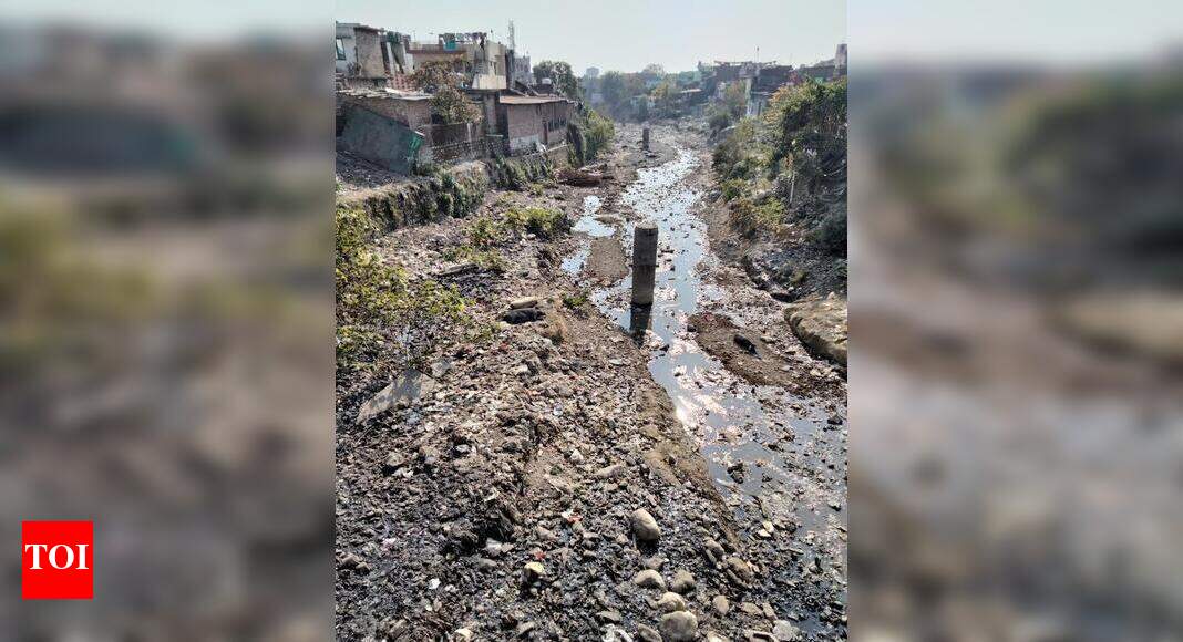 Living next to trash pile, Kandoli residents deal with constant stench ...