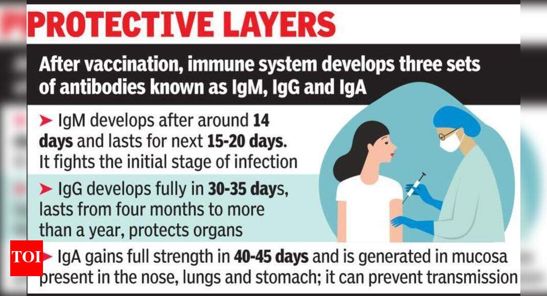 Precautions must continue even after vaccination for safety of all ...