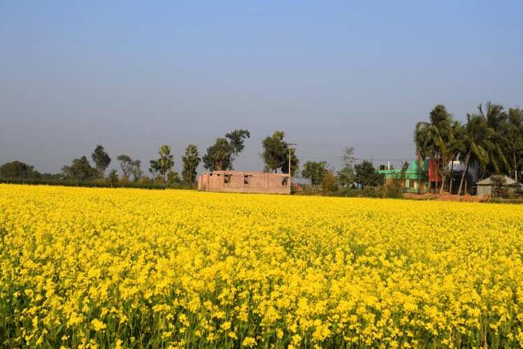 Most beautiful villages in Punjab | Times of India Travel
