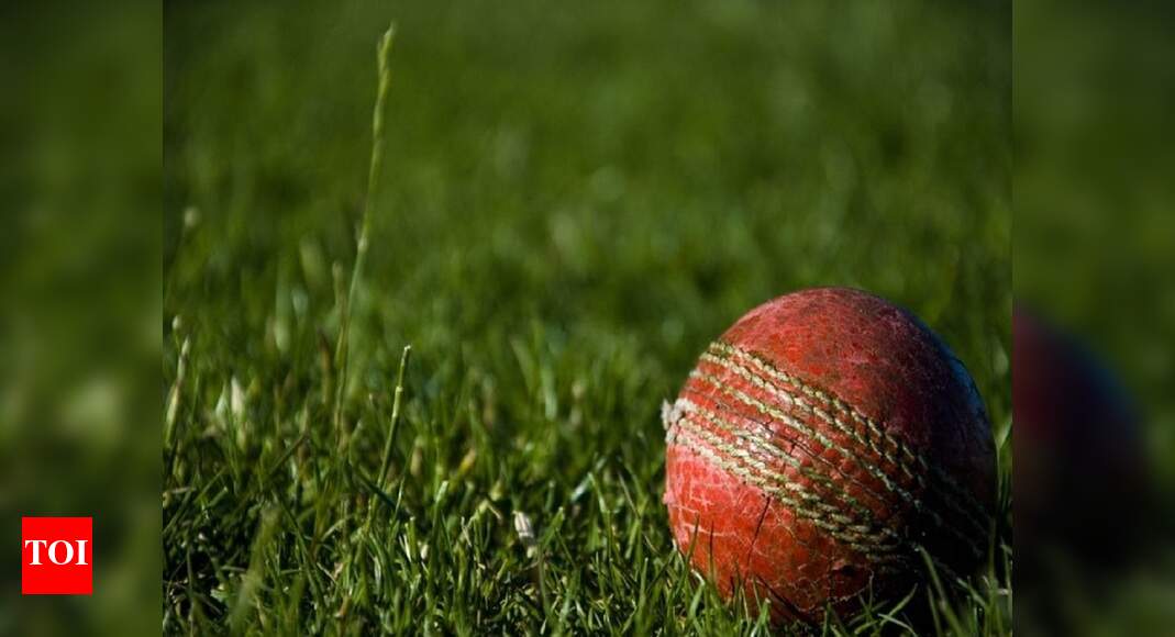 Red Leather Cricket Balls: For Avid Cricket Players - Times of India