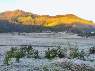 Munnar Temperature: Munnar missed winter in January first week, now ...