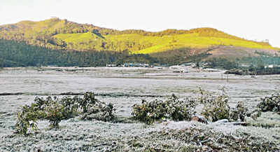 Delayed winter in Munnar gives tourism a leg-up | Kochi News - Times of ...