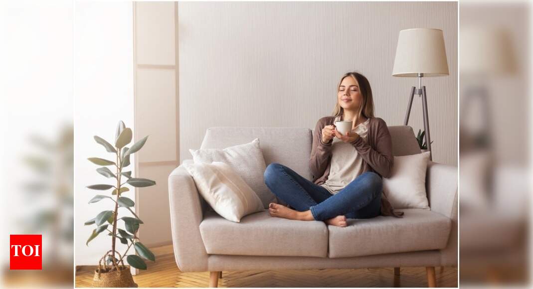 Functional comfort is set to dominate decor trends this year - Times of ...