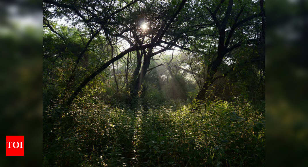 Delhi's forest department to set up temporary wildlife rescue centre ...