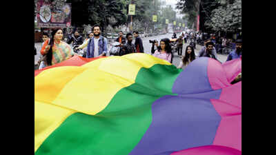 Covid shifts pride parade from streets to amphitheatre | Lucknow News ...