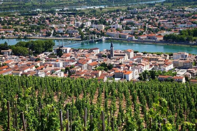 Exploring France through its famous wine regions | Hiswai