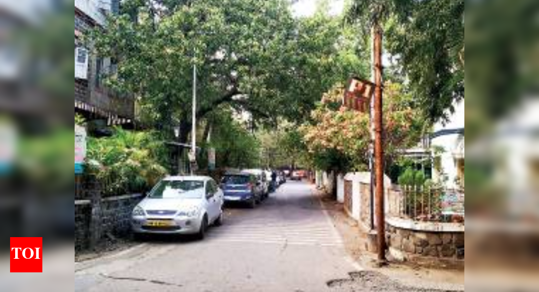 Pune: TP scheme roads added for uniform policy, says panel chief | Pune ...