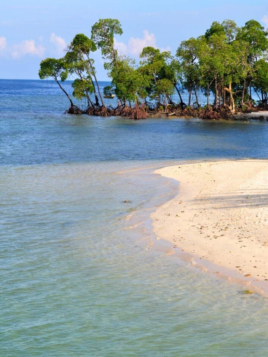 Discovering wonders of the Andamans | Times of India