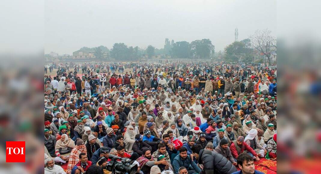 Protesting farmers announce 3-hour nationwide 'chakka jam' on February ...