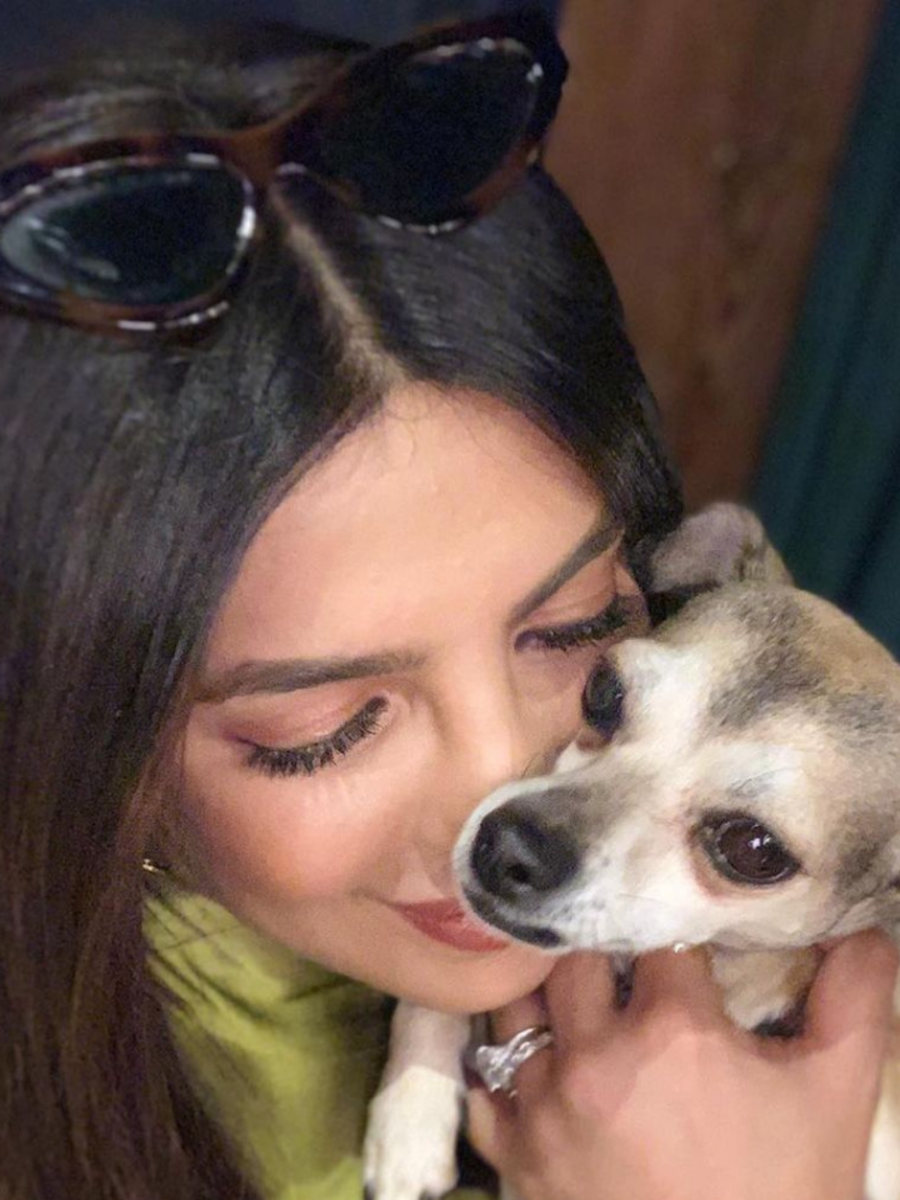 Adorable photos of celebs and their pets | Zoom TV