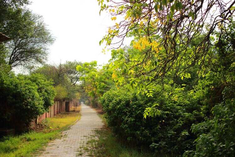 The perfect itinerary for lovers celebrating Valentine’s Day in Delhi ...