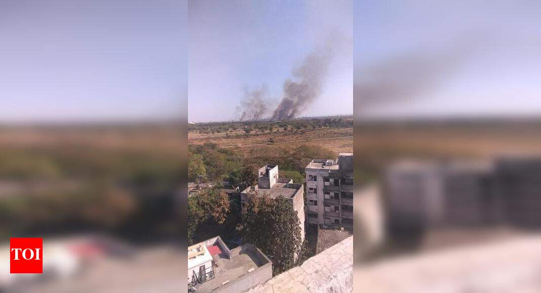 250 hectare forest gutted in Ambazari Biodiversity Park | Nagpur News ...