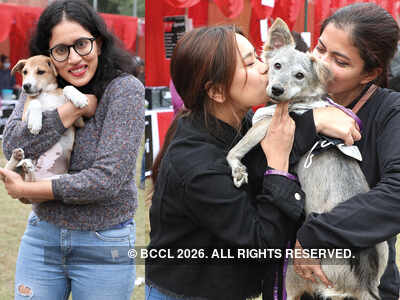 All for the love & care of animals | Events Movie News - Times of India