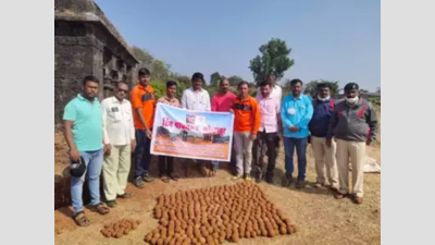 Maharashtra: 406 Chhatrapati-era cannonballs dug up in Pavangad Fort ...