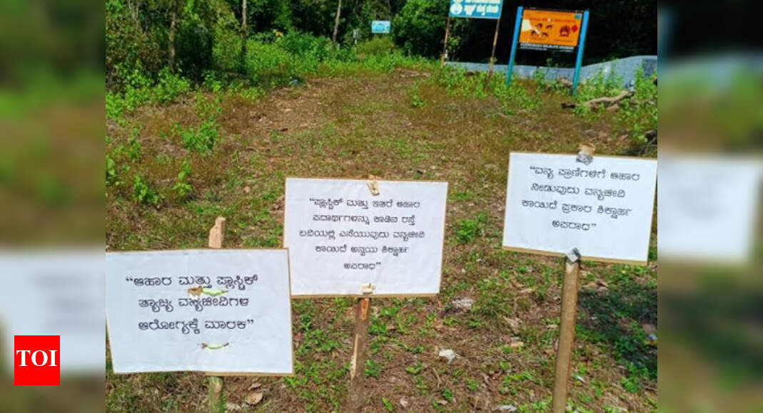 Karnataka: Feeding monkeys, littering Ghats will cost you more than ...
