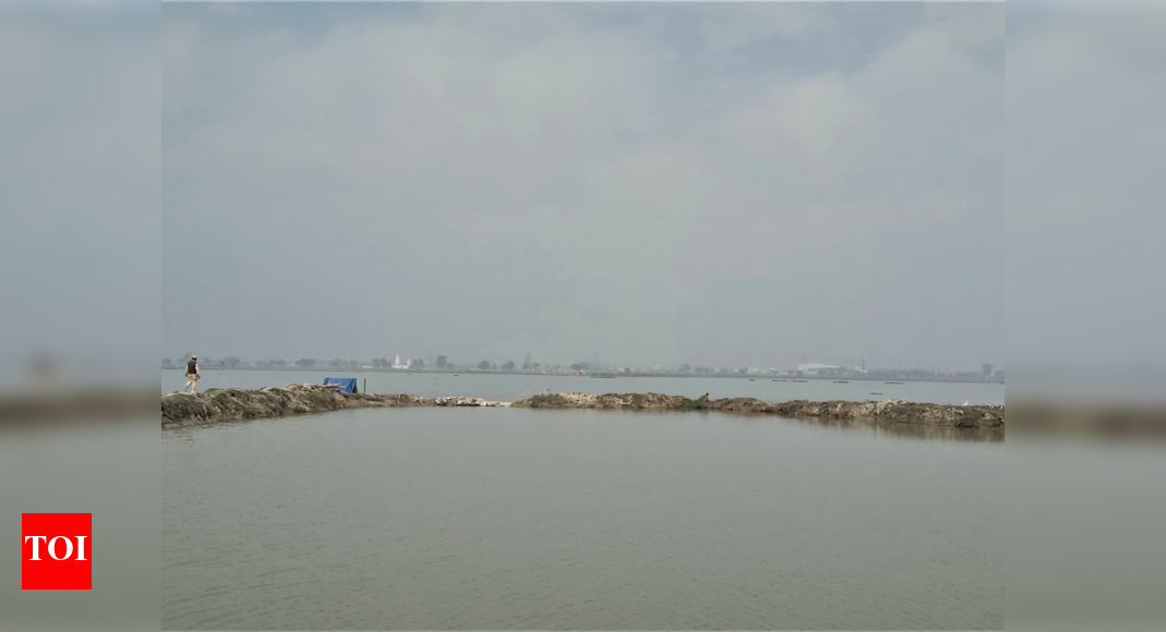 Hasanpur lake grapples with waste water, encroachment | Noida News ...