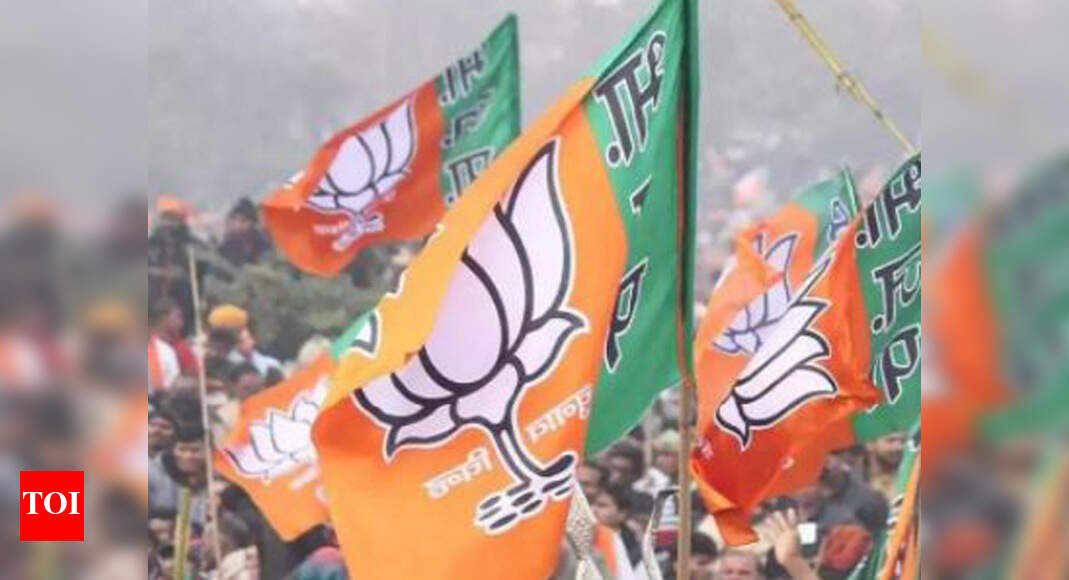 Guj Civic Polls: BJP launches civic polls campaign slogan in Gujarat ...