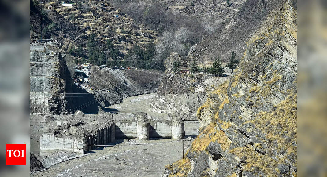 Tapovan Power Project: Fate of NTPC’s Tapovan project hangs in balance ...