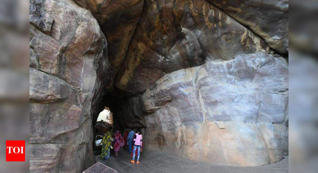 Fossil of world’s ‘oldest animal’ found in Madhya Pradesh | Bhopal News ...