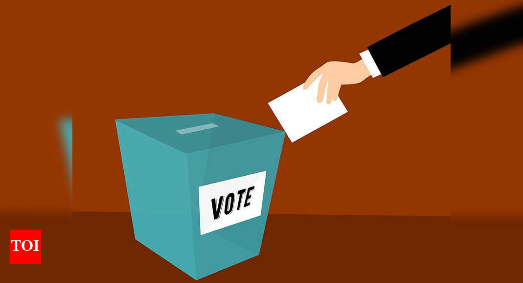 Phase I sees narrow wins, zero-vote candidate | Vijayawada News - Times ...