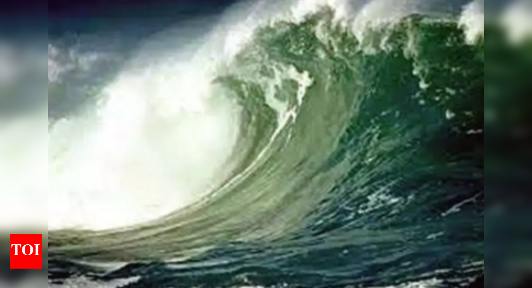 Tsunami in New Zealand: Top Stories, photos, videos and latest news ...