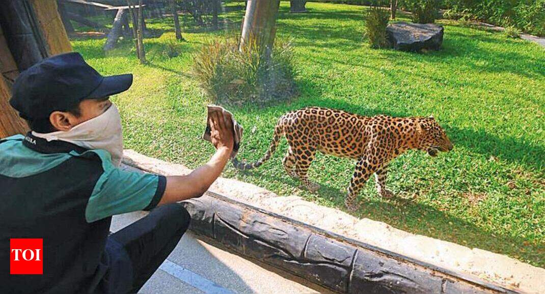 Mumbai: Byculla zoo to reopen on Monday | Mumbai News - Times of India
