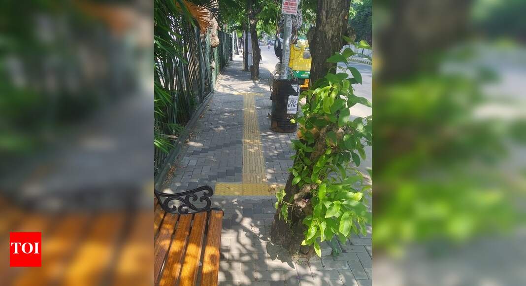 Trees strangled on Pavements - Times of India