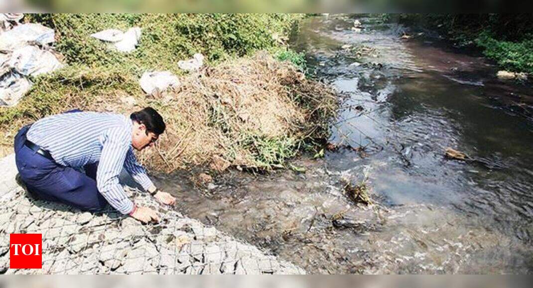 Badlapur MIDC industrialists start Ulhas clean-up | Mumbai News - Times ...