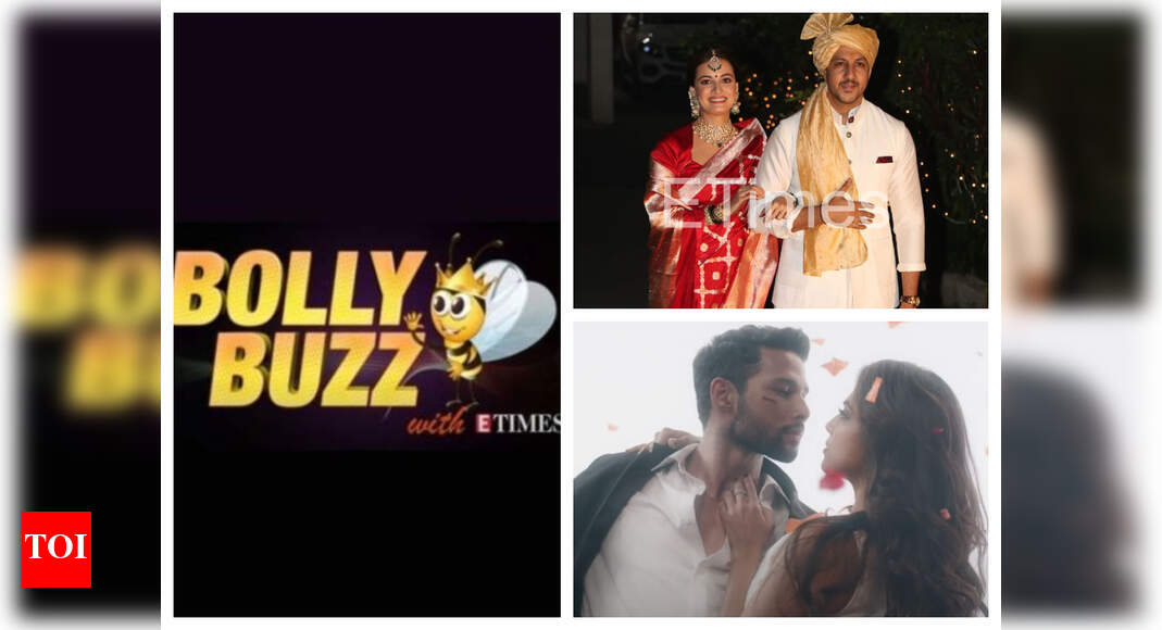 Bolly Buzz: Dia Mirza-Vaibhav Rekhi's intimate wedding; Siddhant ...