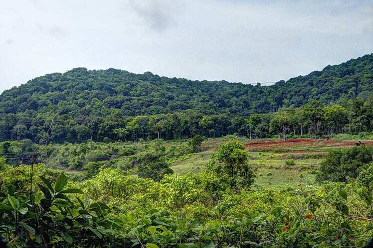 Best winter destinations in South India | Times of India Travel