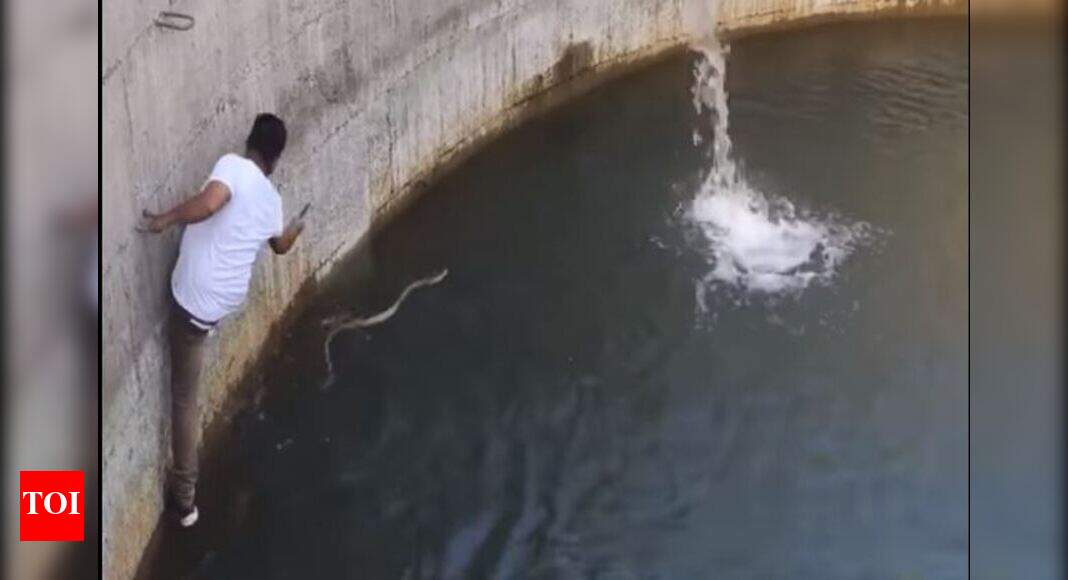 Man jumps into a well to save a snake & the internet is shook! - Times ...
