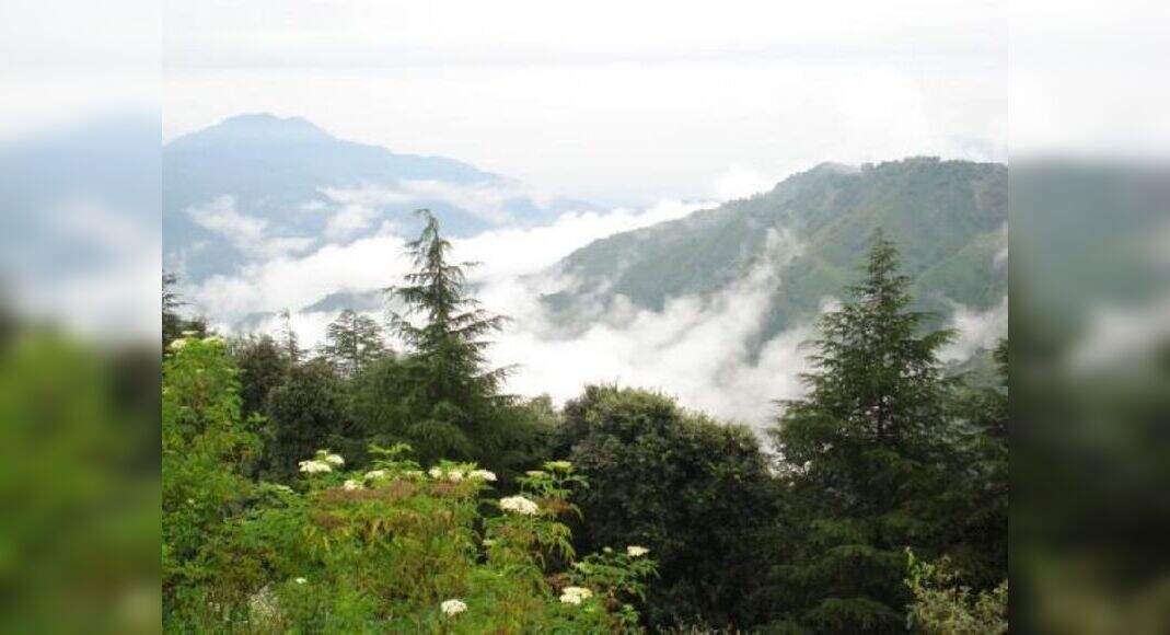 Chail—the less-explored Himalayan paradise | Times of India Travel