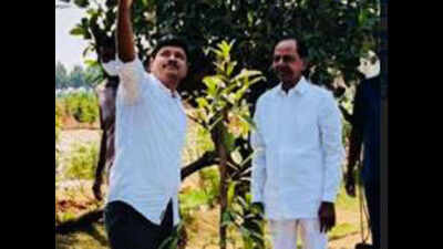 One crore saplings plantation on Telengana CM's birthday | Hyderabad News - Times of India